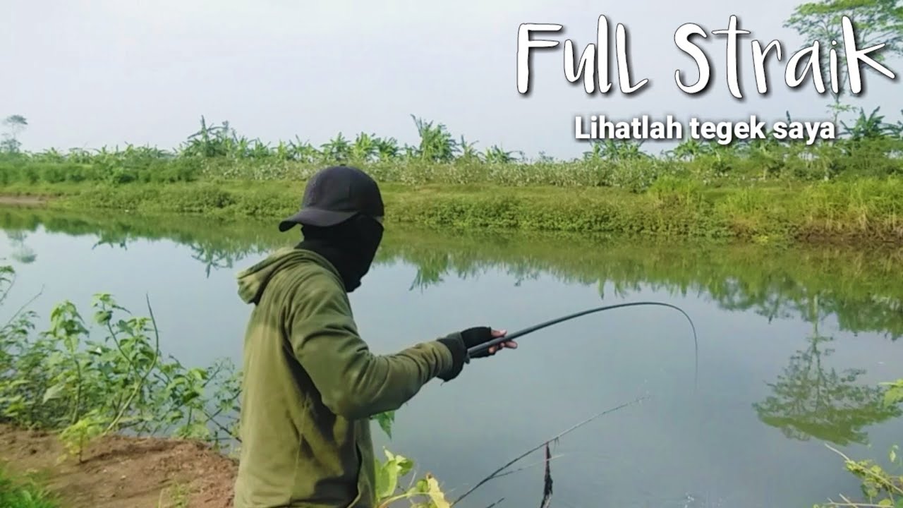 Mancing liar.!! Panen ikan wader wirosuco (Derbang) - YouTube