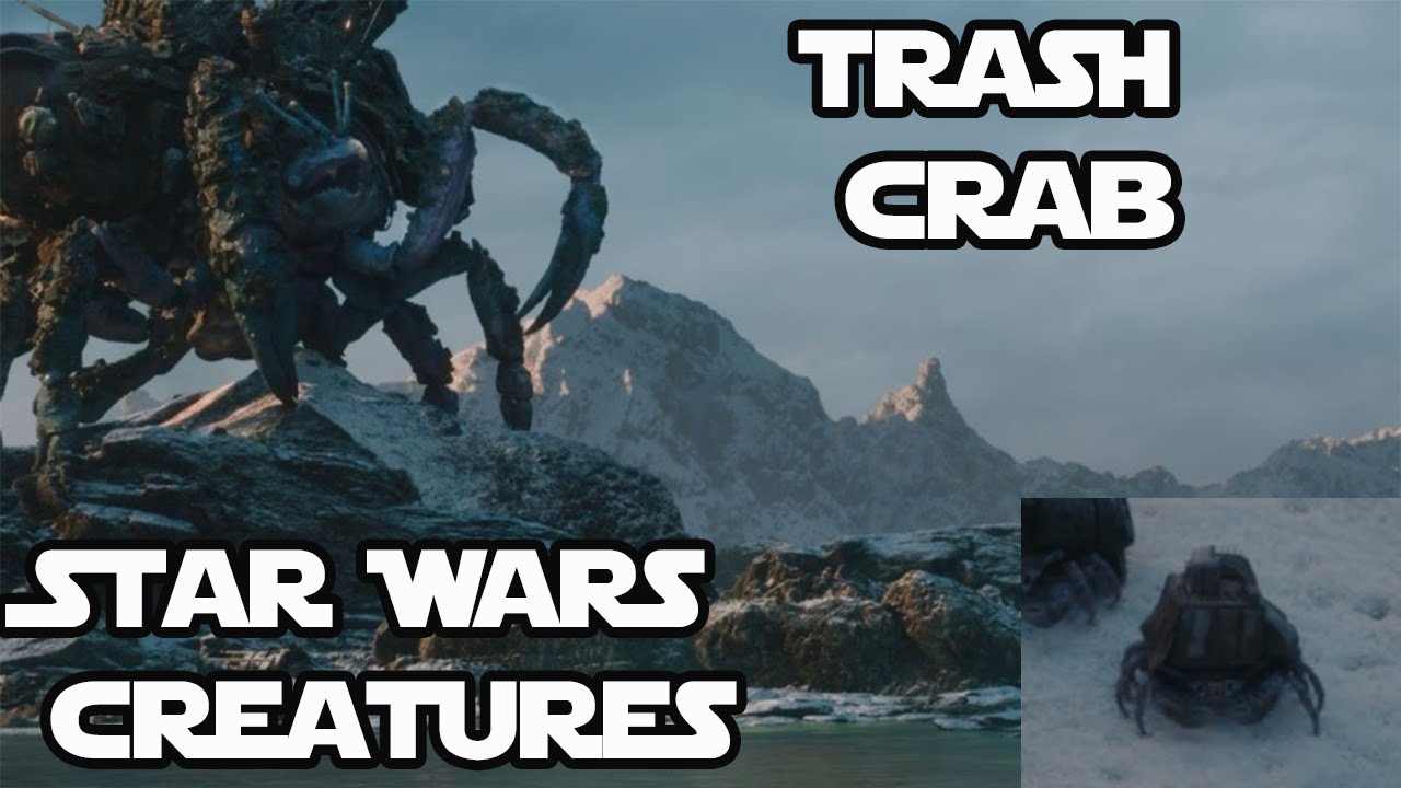 Trash Crab | Star Wars Creatures - YouTube