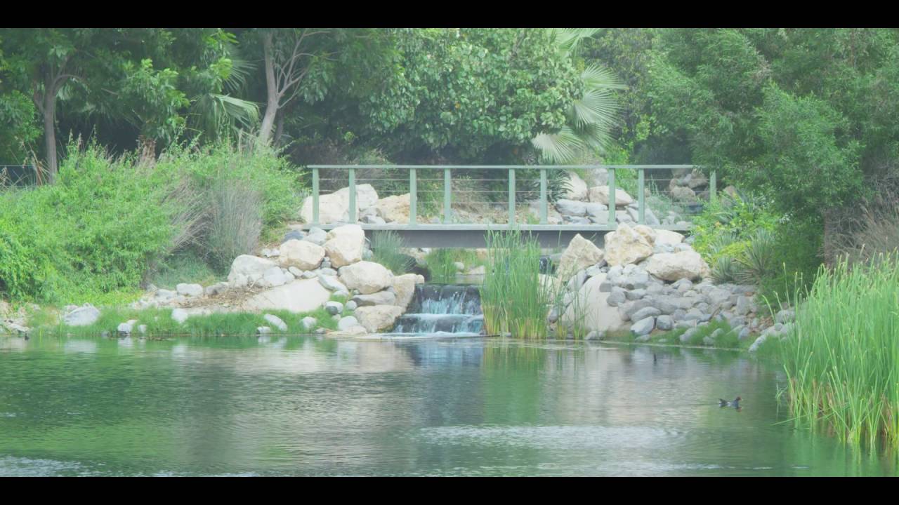 Al Barari's Lake - YouTube