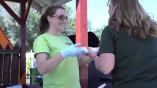 Wickman's Garden Village- Fall Festival 2013