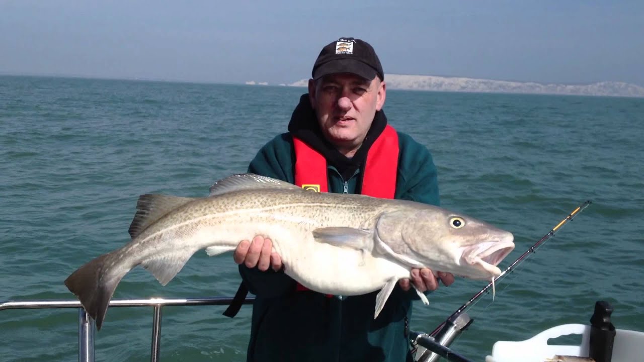 Kevin 18lb Needles Cod - YouTube