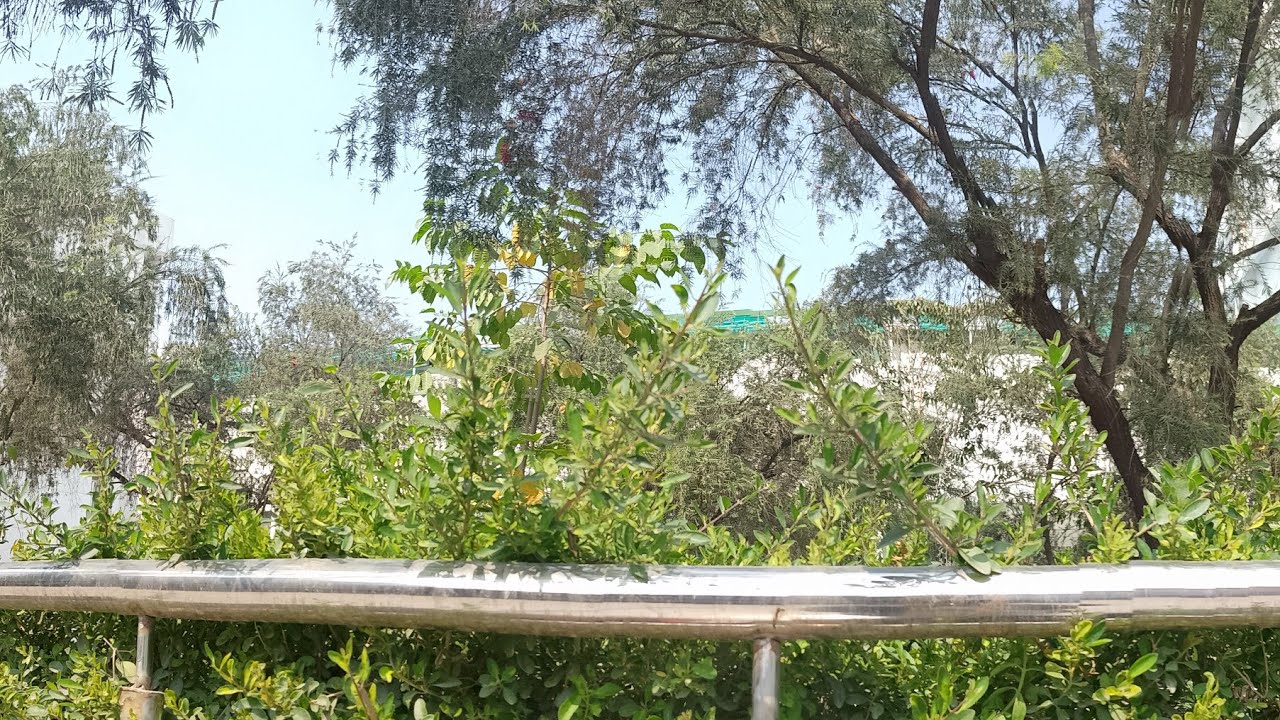 Devika Rajput is live! - YouTube