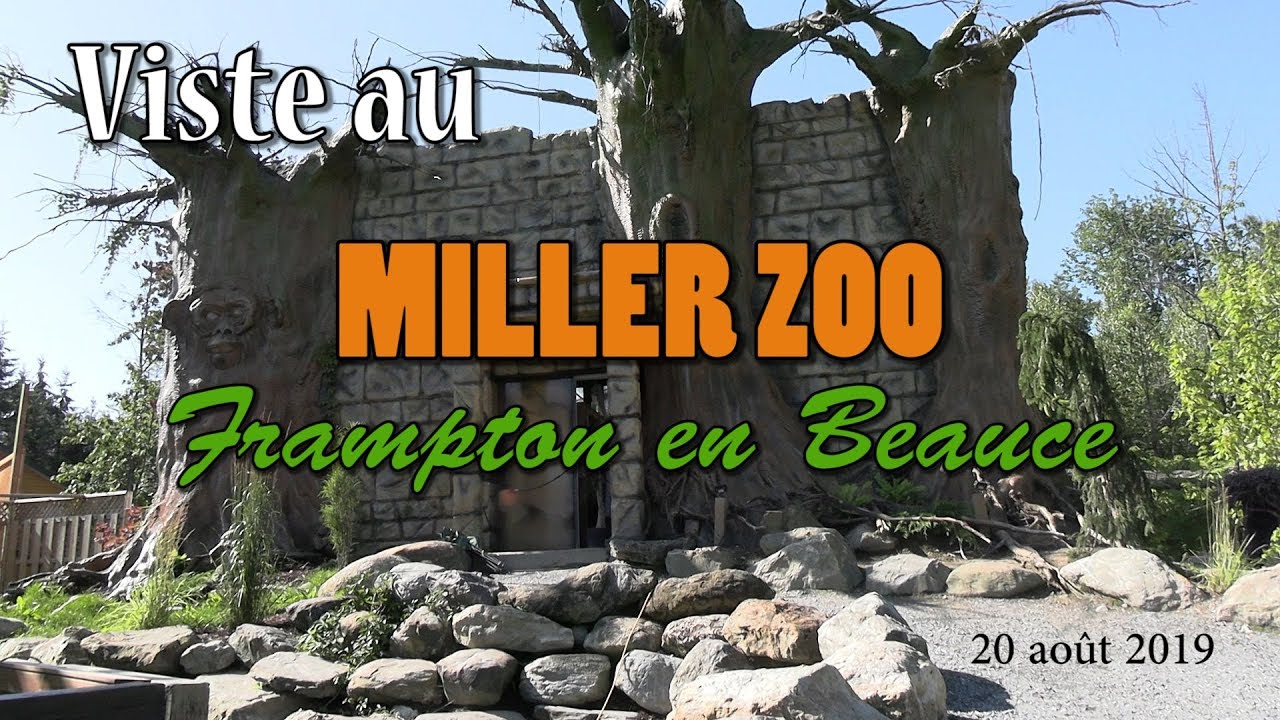 Visite au MILLER ZOO de Frampton en Beauce - YouTube