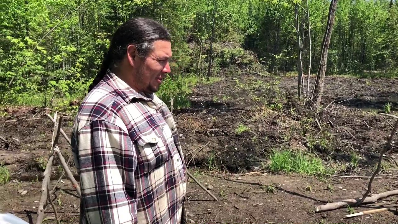 Brendan tours the garden - YouTube