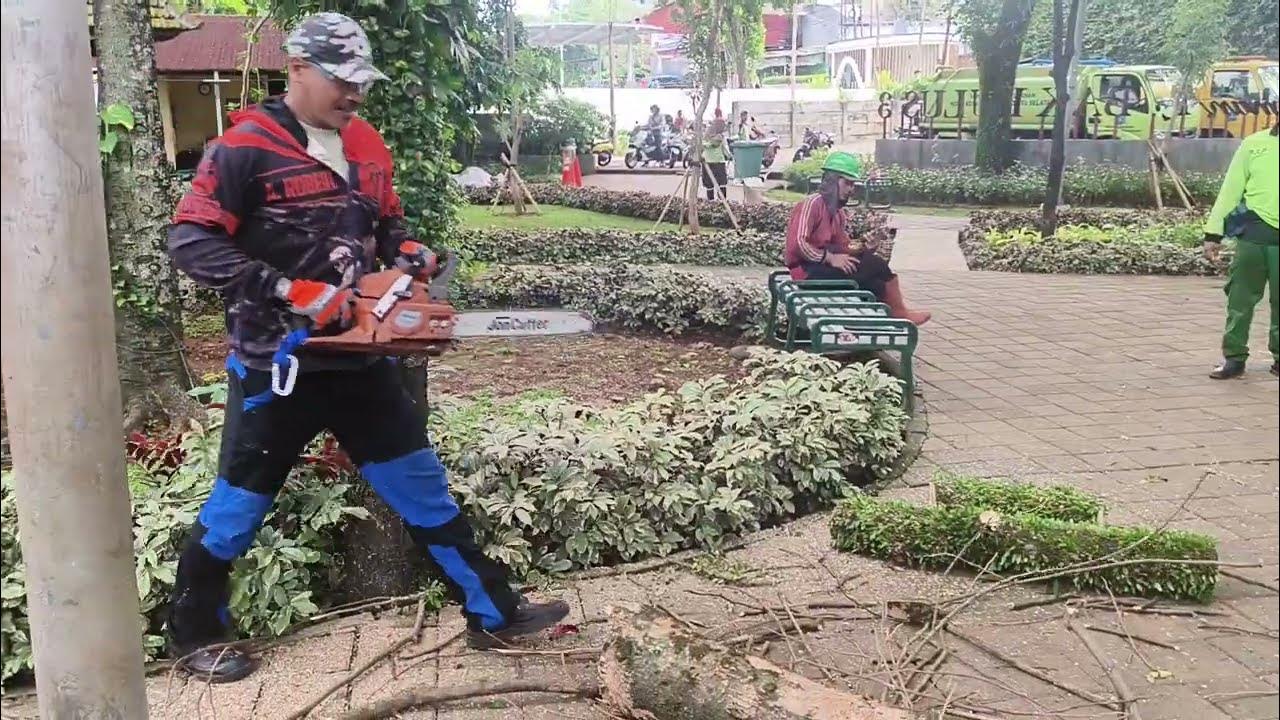 Joncutter G3800 tenaga mantab saingan berat ms180 - YouTube