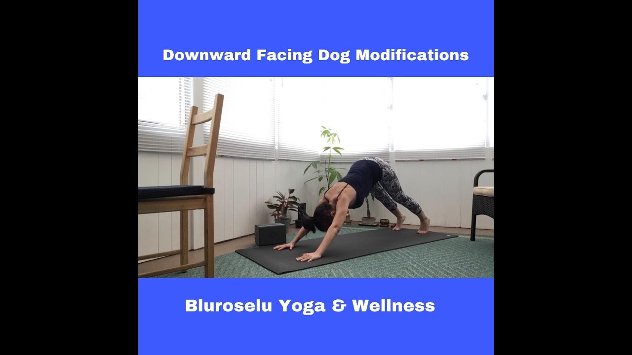 Downward Facing Dog Modifications - YouTube