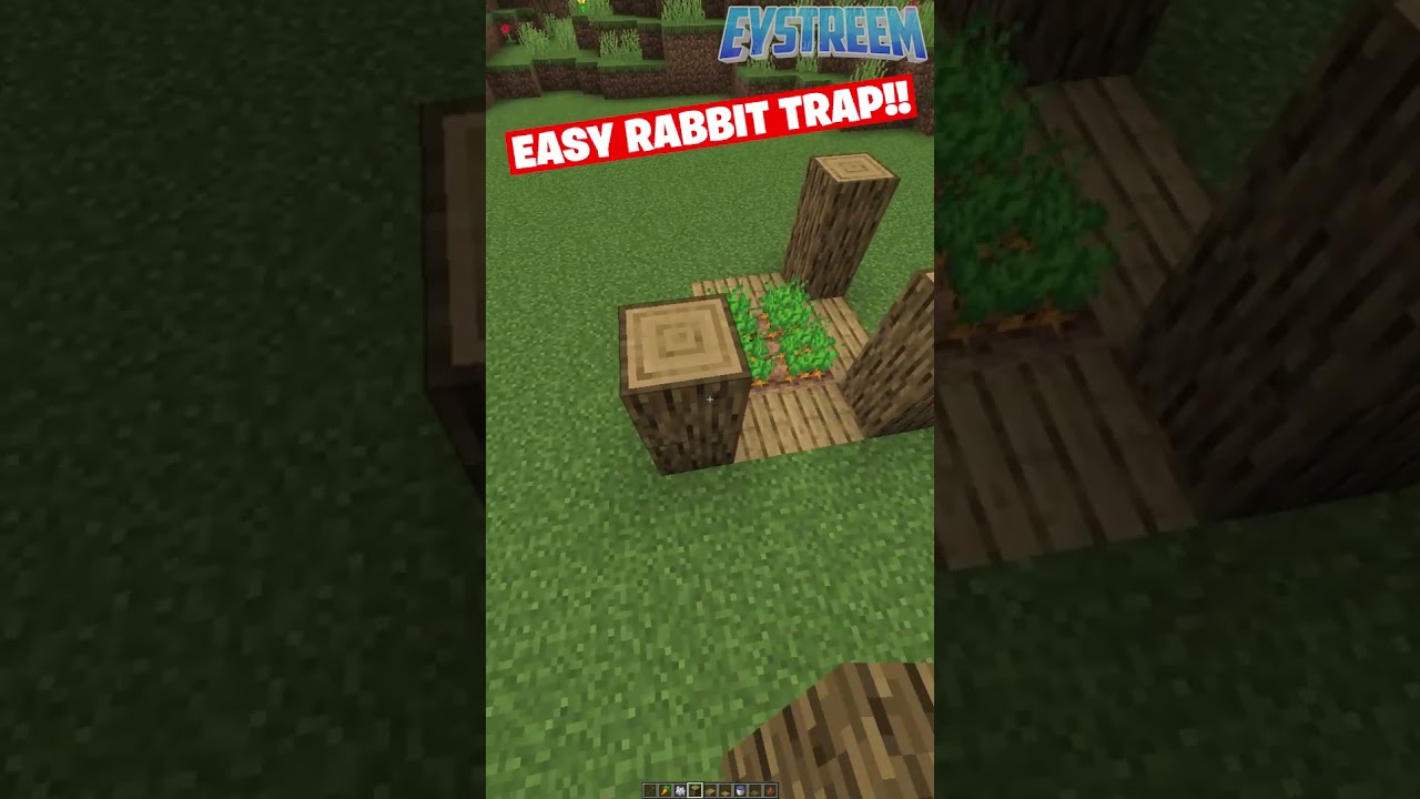 How to build a Rabbit Trap! (EASY) #Shorts - YouTube