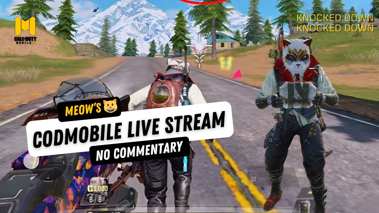 MEOW'S 😺 CALL OF DUTY MOBILE LIVE STREAM (NO COMMENTARY) | ROY THE CRAZY | CODMBOBILE | CODM ...