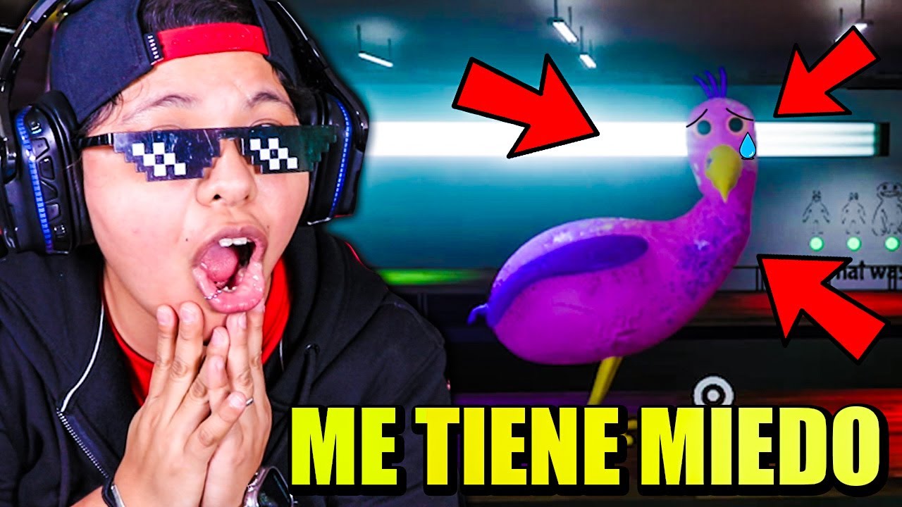 EL PAJARO ROSA (OPILA BIRD) ME TIENE MIEDO Y NO ME PERSIGUE 😱🔪 ...