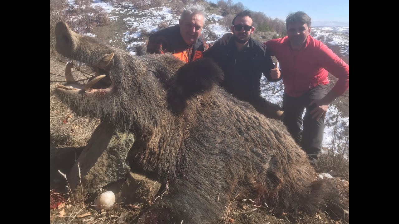 Turkey Hunting Season Memories Of 2021 - Piri Hunting Safari - YouTube