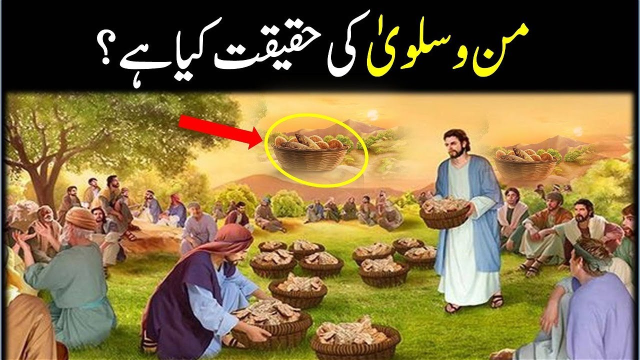 Man o" salwa ka waqia | Manna and quail story | Man o salwa | Food of ...