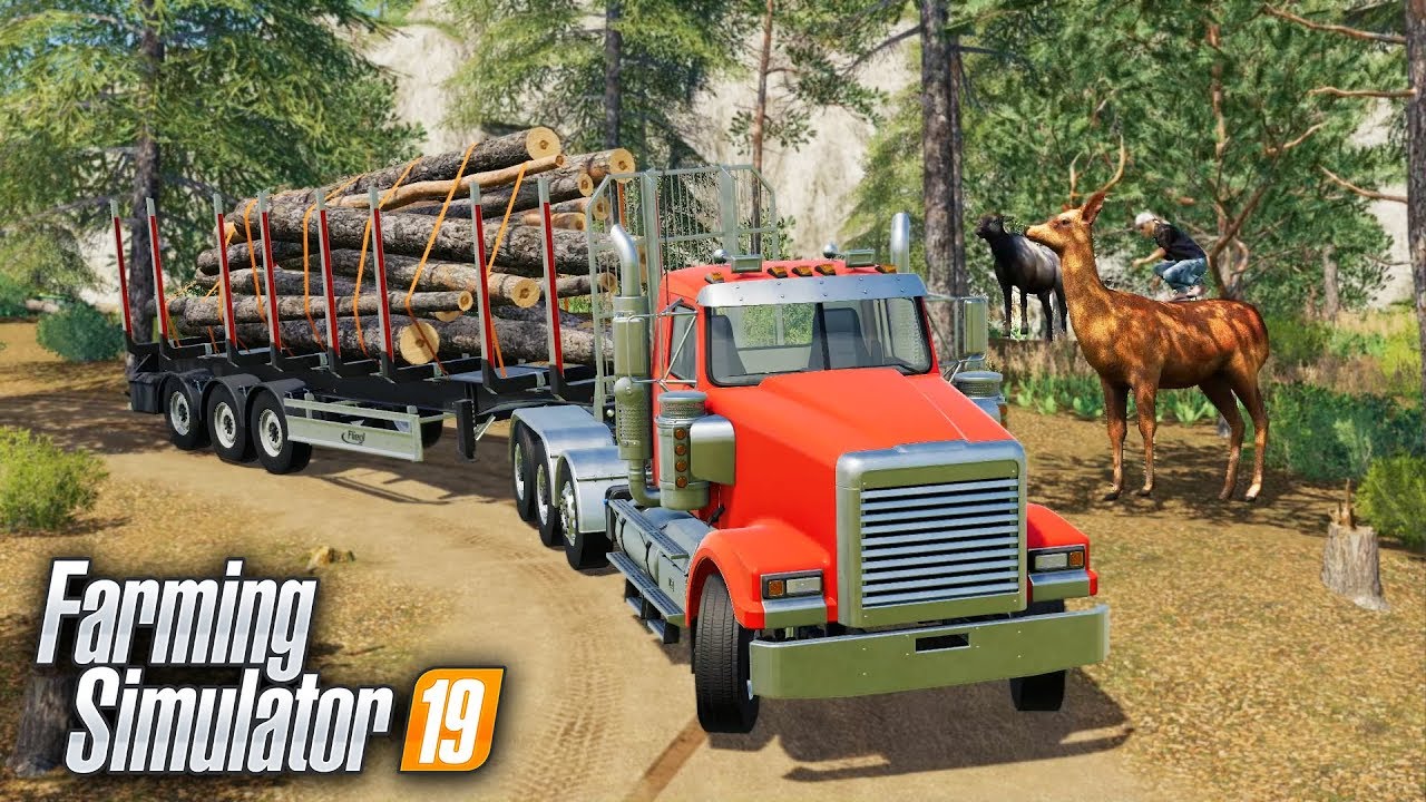 FS19- TRUCKING TIMBER TO THE MILL & ENCOUNTER WITH DEER & BEAR ...