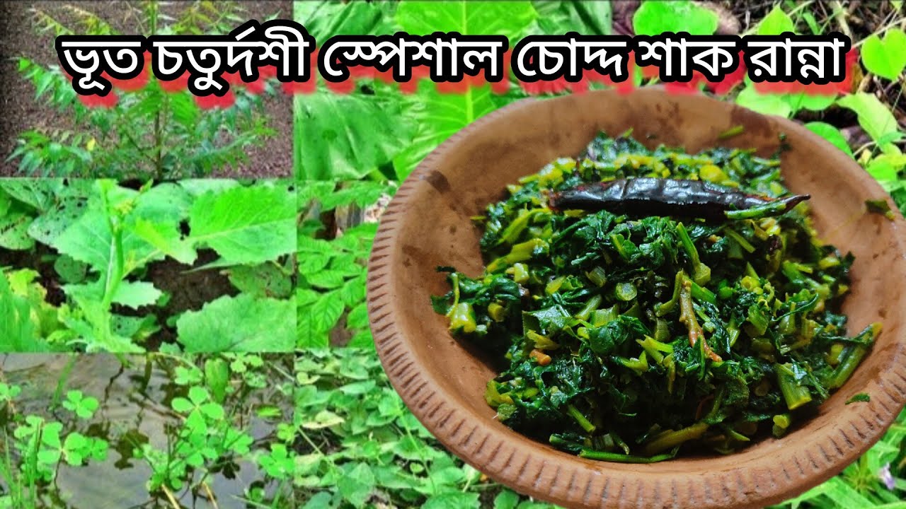 ভুত চতুর্দশী ১৪ শাক গুলি কি কি /Bhoot Chaturdashir Choddo Shak With ...