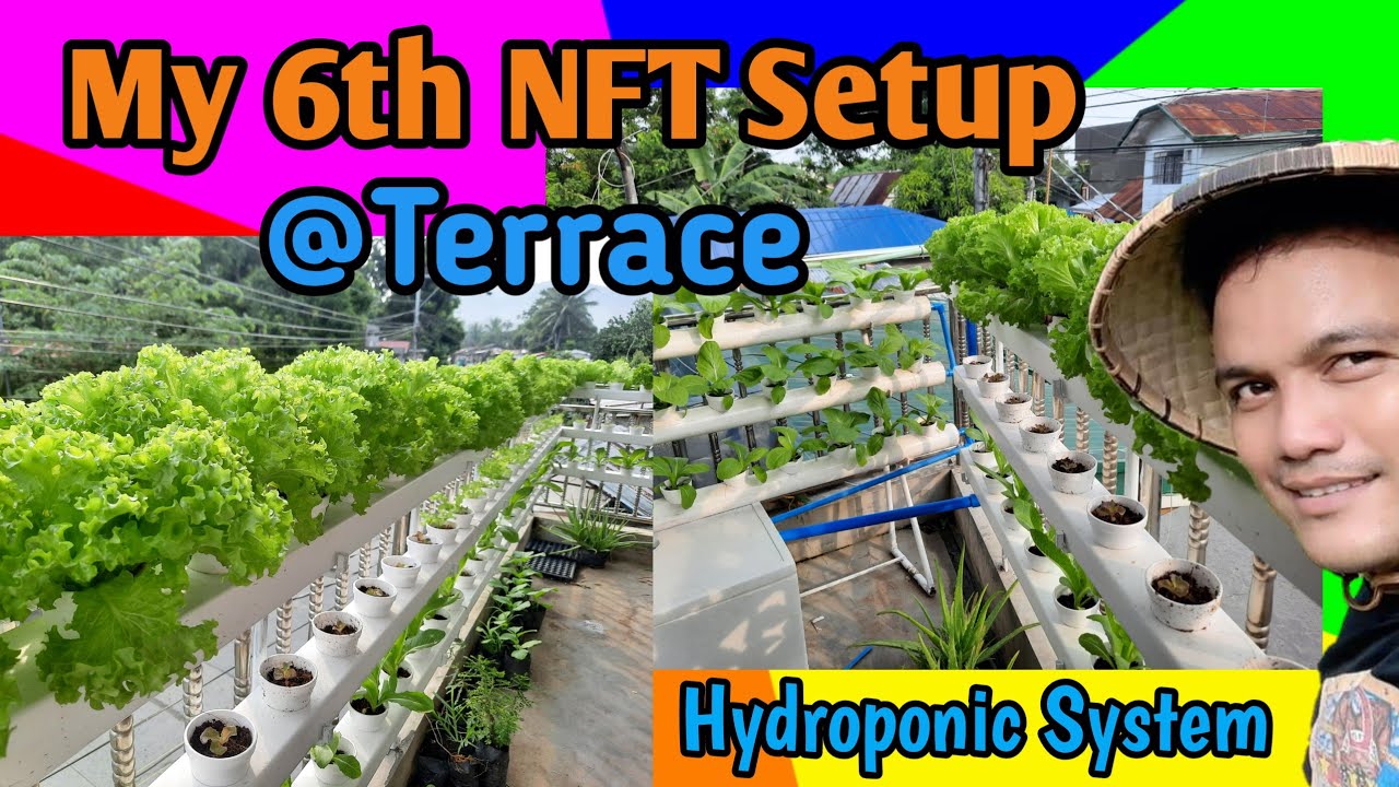 Hydroponic: My 6th NFT Setup - YouTube