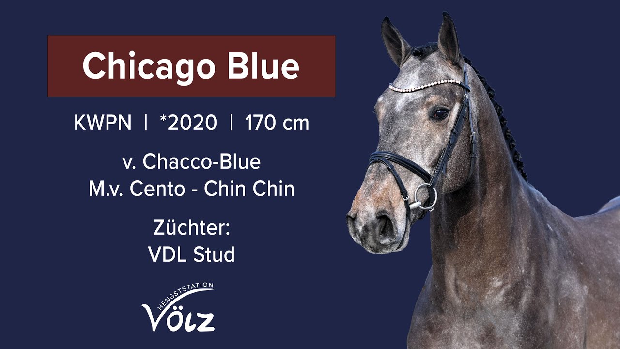 Chicago Blue (Chacco Blue/Cento/Chin Chin) - YouTube