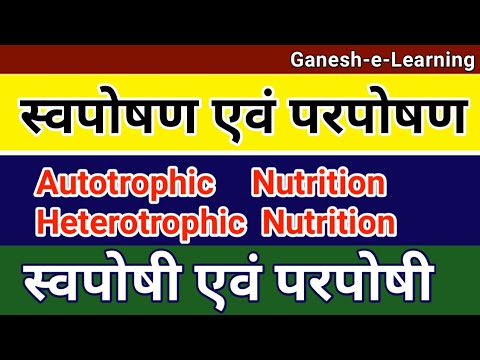 स्वपोषण एवं परपोषण में अन्तर |Autotrophic Nutrition And Heterotrophic ...