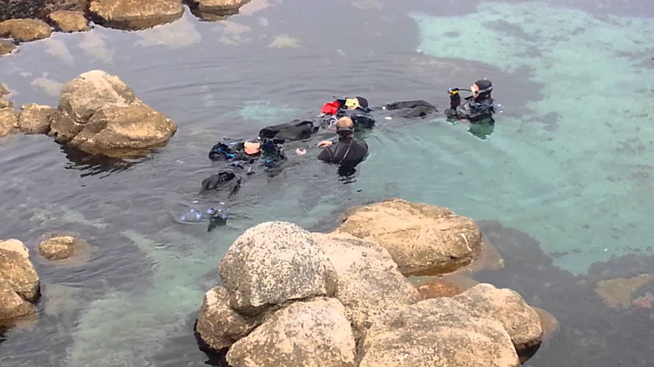 Michael Tsang scuba diving with Johns Hopkins CTY - YouTube