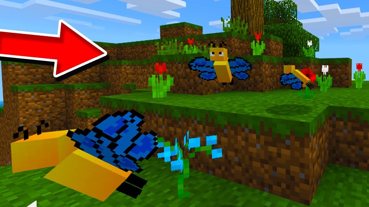 BUTTERFLIES in Minecraft!! (PEW WIN10) - YouTube