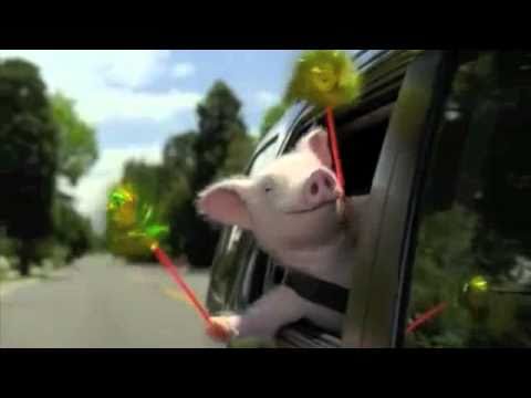 New Geico Piggy Commercial Remix - YouTube