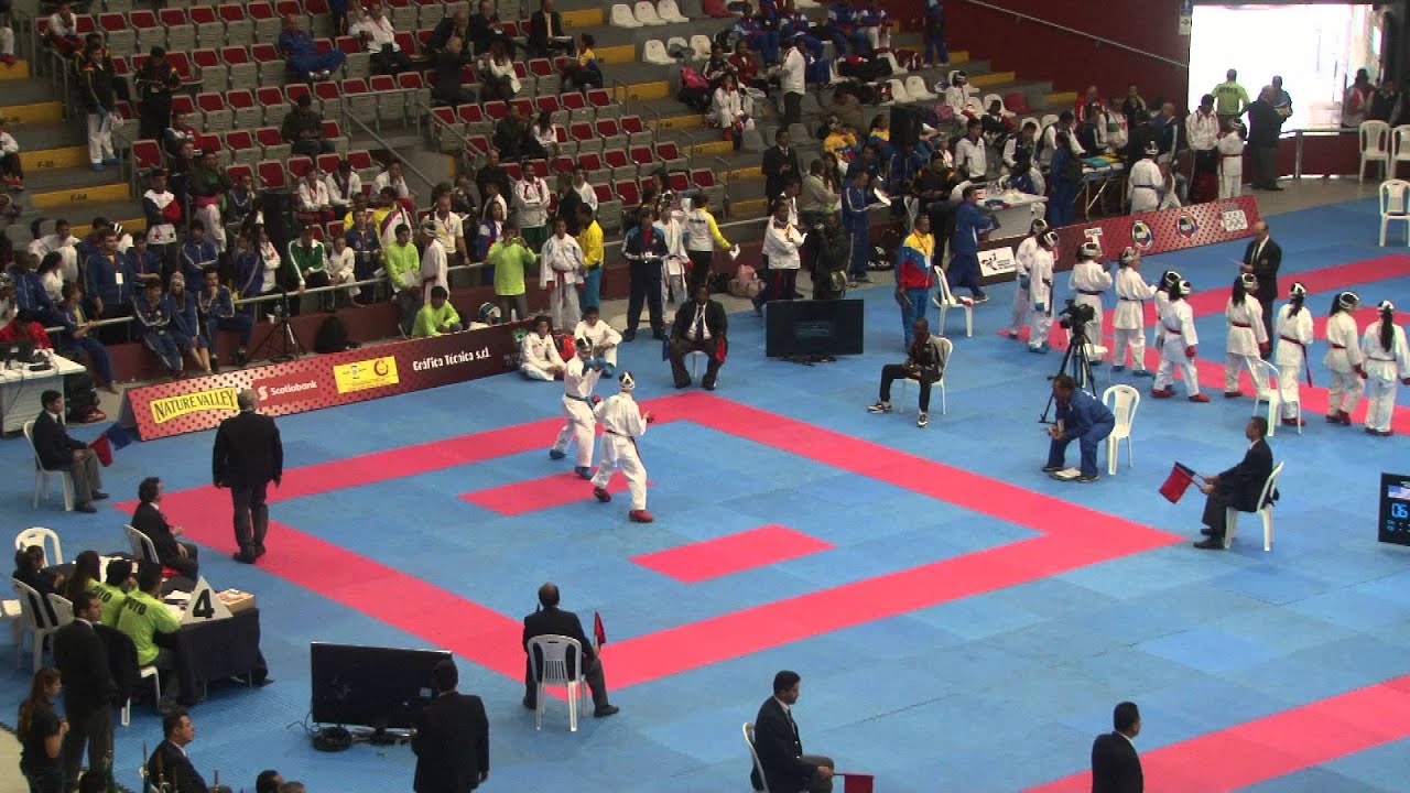 2014 Pan Am Karate Championship 14-15 Male Kumite -52 Kg Adam Kraus ...