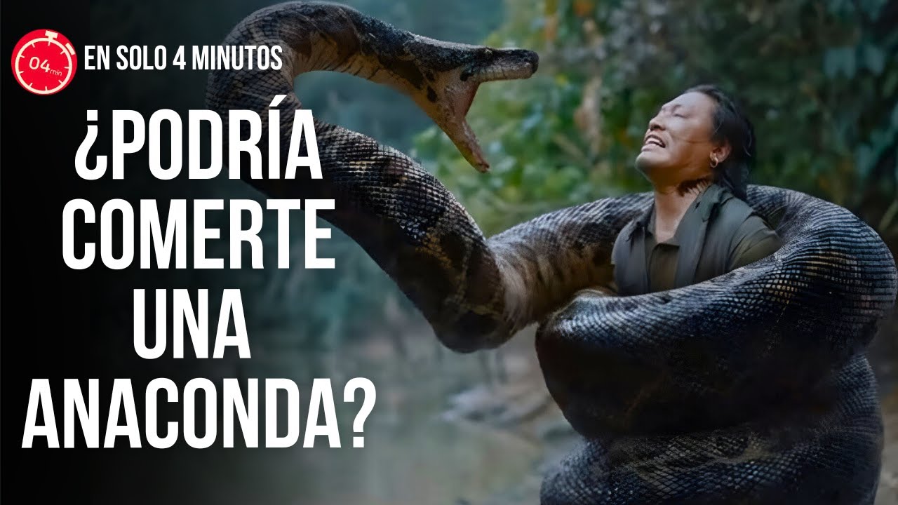 ¿Qué Pasaría si una Anaconda te Tragara? 🐍 La explicación en 4 minutos ...