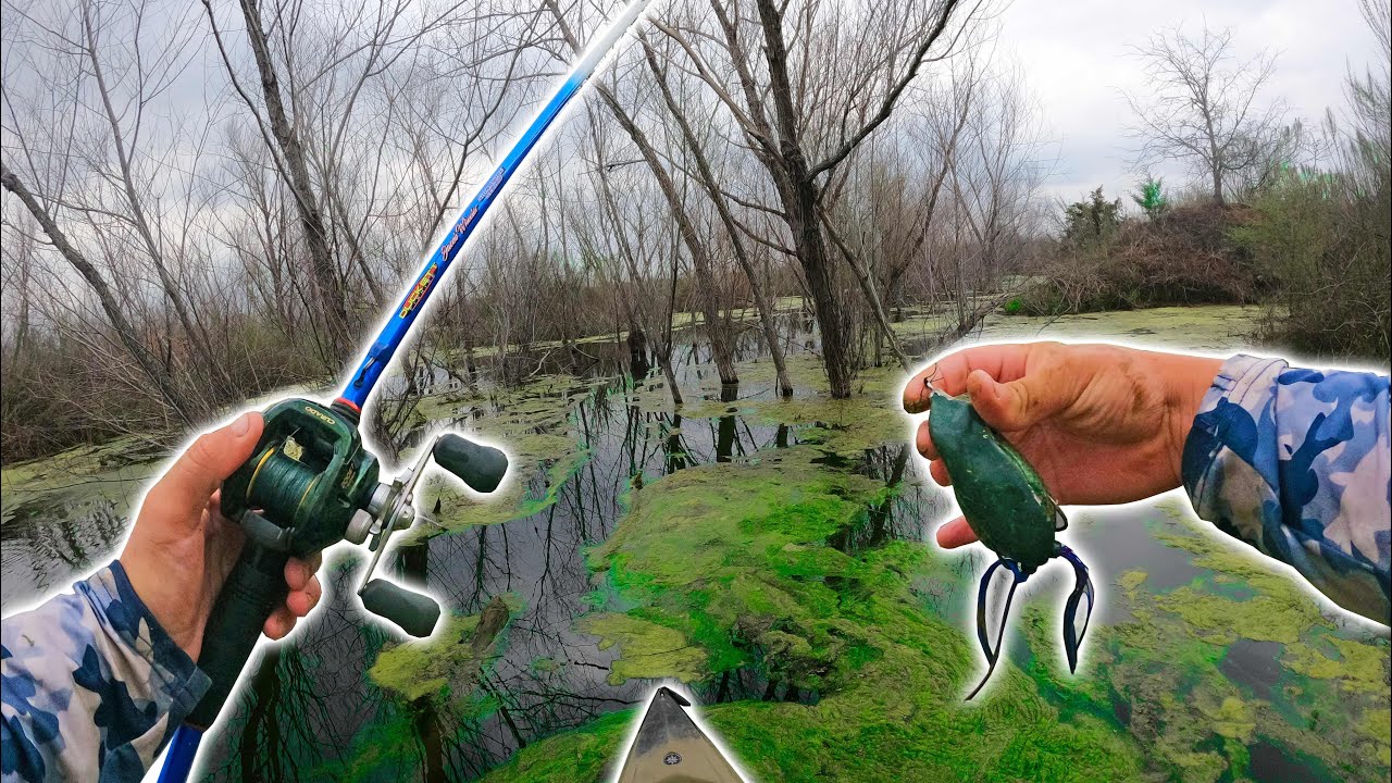 This Flooded Forest was INFESTED With BIG bass (Kayak SLAYIN) - YouTube