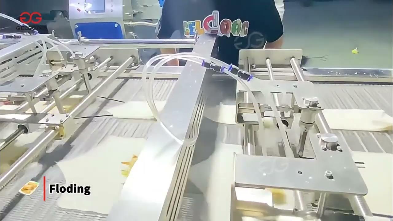 Double Row Industrial Spring Roll Machine - YouTube