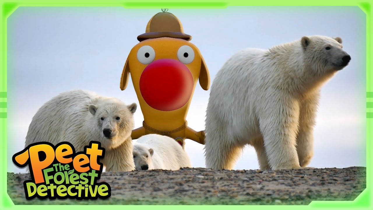 The Search for Missing Polar Bears | Nature Stories For Kids | Peet The ...