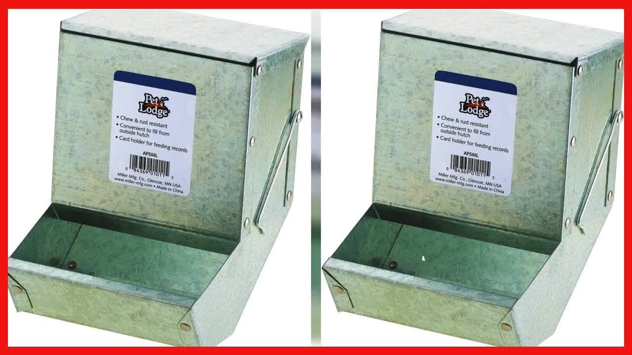 Pet Lodge Steel Small Animal Feeder with Lid Small Animal Feed Box ...