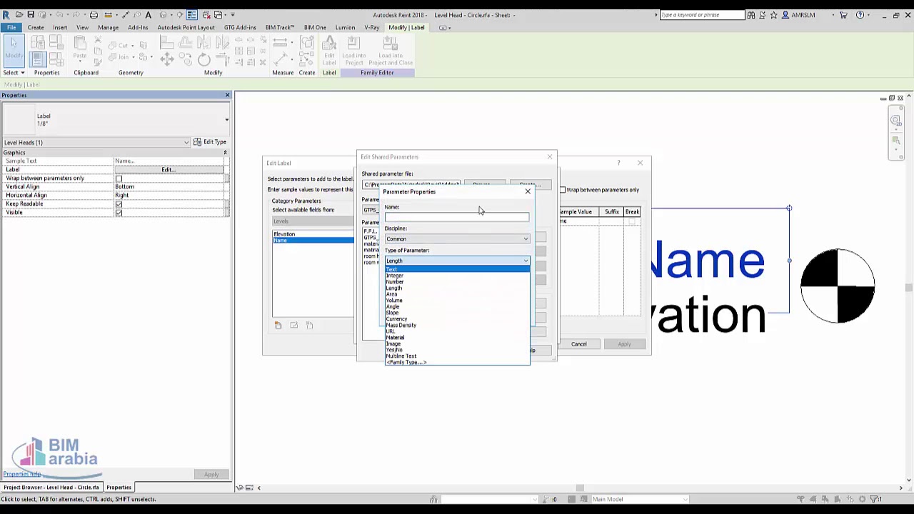 revit level head - YouTube