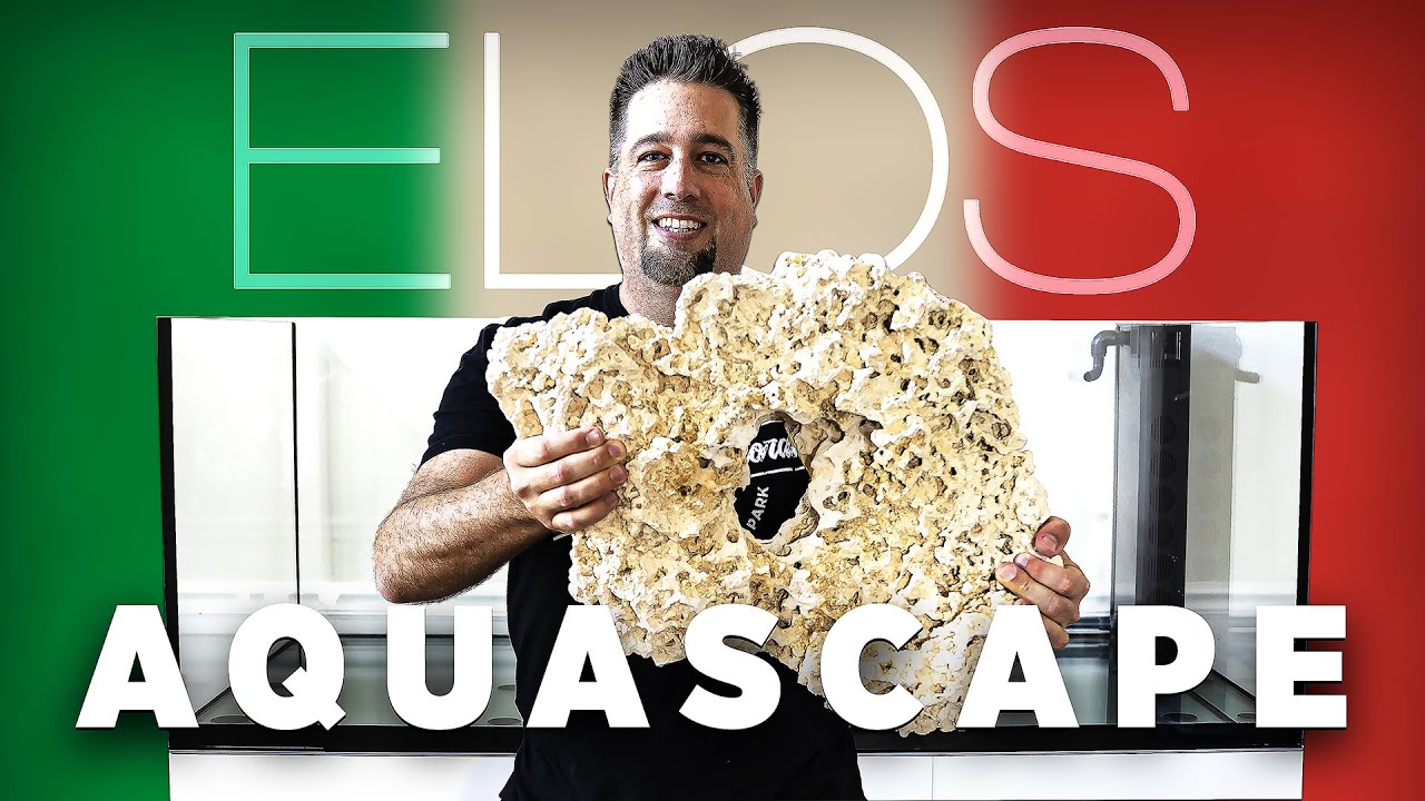 Marco Rocks Aquascape For The ELOS Dream Reef (Episode 2) - YouTube