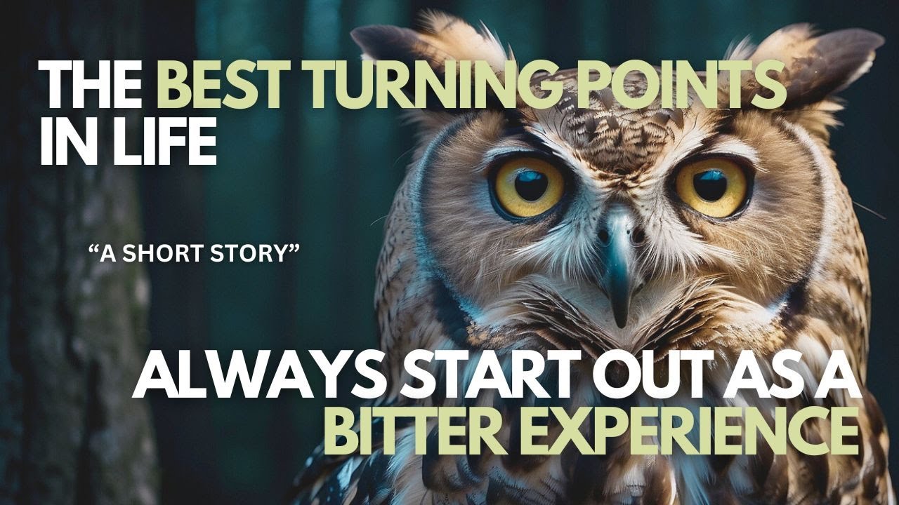 The Best Turning Points in Life Always Start Out as a Bitter Experience ...
