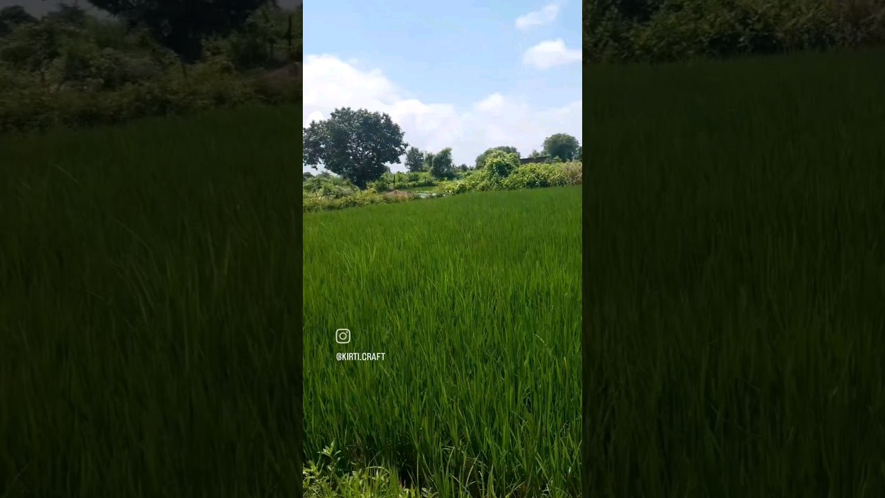 Hometown #greenery - YouTube