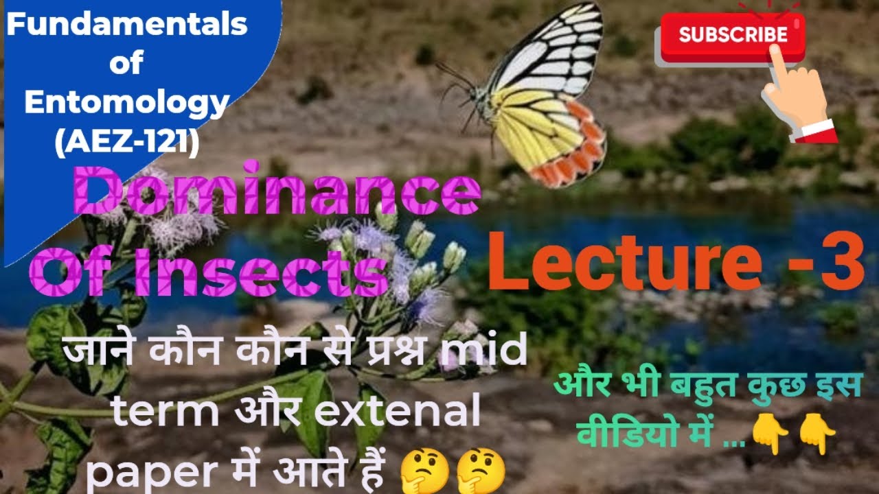 Fundamentals of Entomology (AEZ-121)।। Dominance of Insects।। #bcece # ...