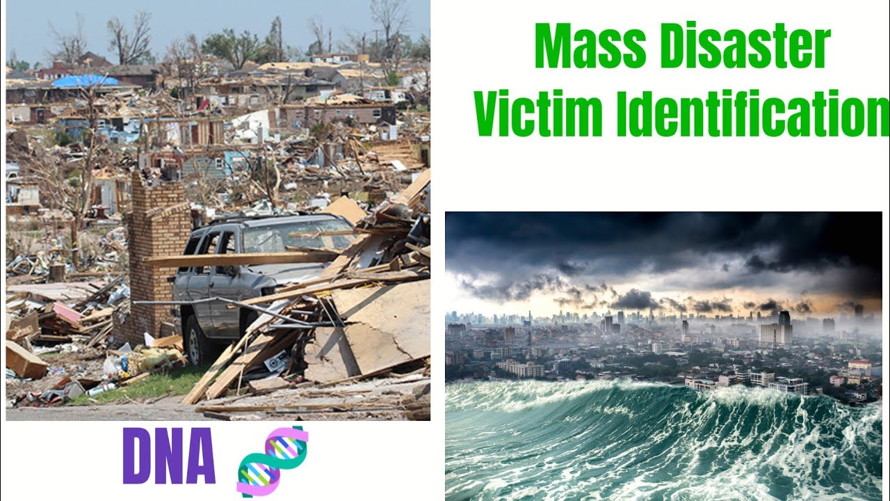 Disaster Victim Identification(DVI) Explained | Forensic Science ...