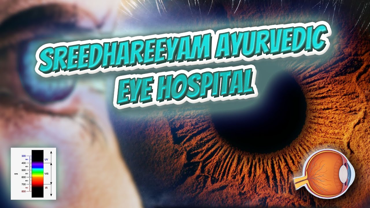 Sreedhareeyam Ayurvedic Eye Hospital (Your EYEBALLS) 👁️👁️💉😳💊🔊💯 - YouTube