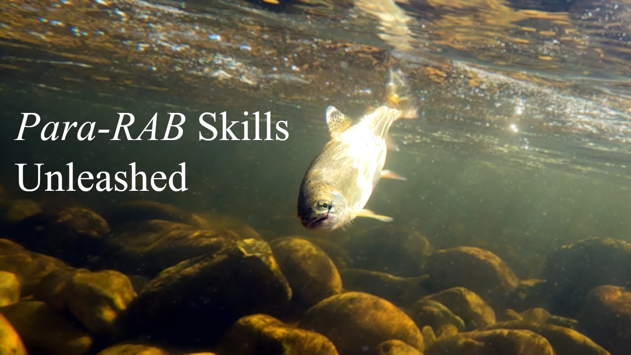 Loads of Small Stream Trout on Dry Fly || Para-RAB Skills Unleashed🎣 ...
