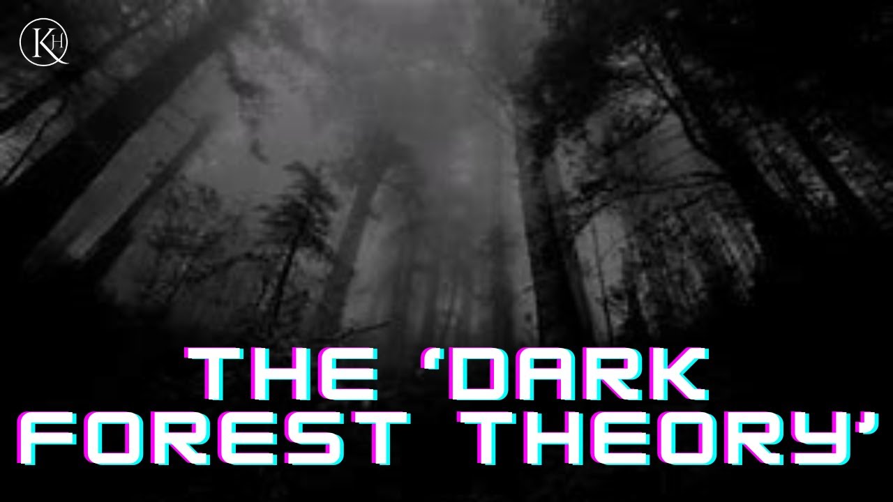 The ‘Dark Forest Theory’ - YouTube