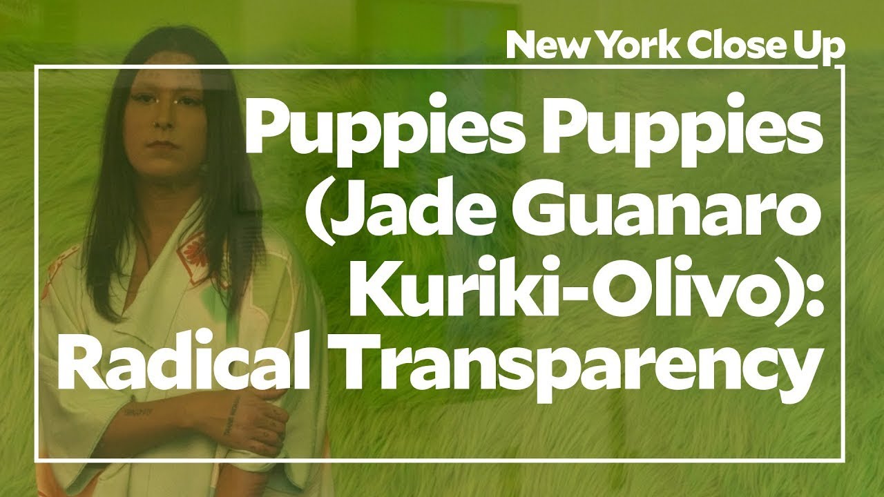 Artist lives in the New Museum during an exhibition (Puppies Puppies ...
