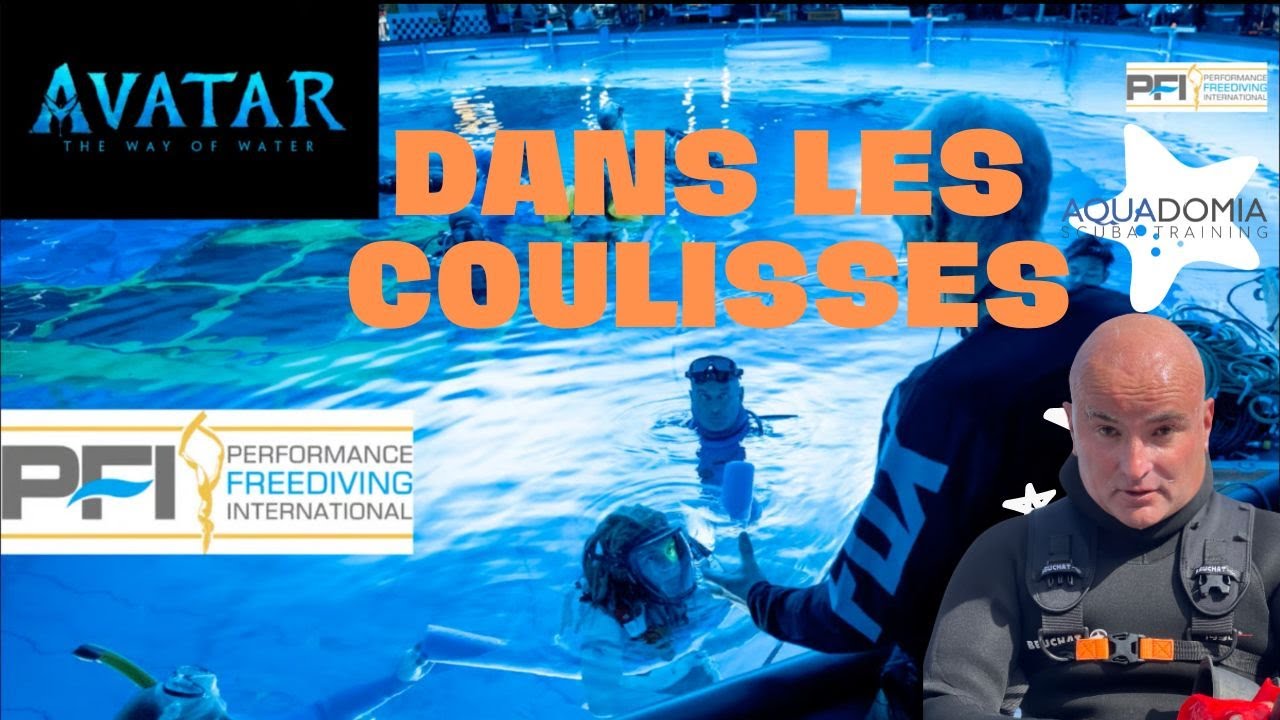 Avatar 2 : boom pour l'apnée et performance avec PFI ! #freediving ...