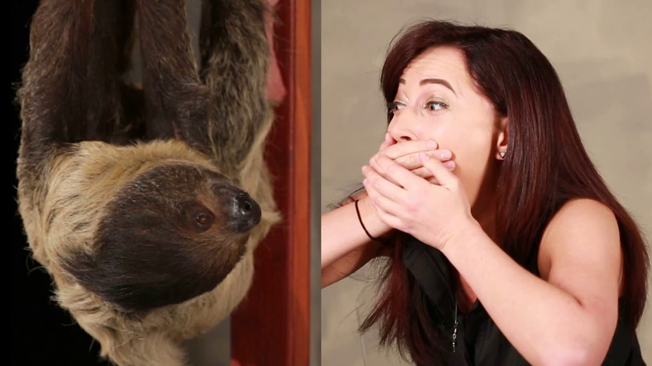 KillaGraham - Drop It Full [ 1 Hour Loop - Sleep Song ] - YouTube