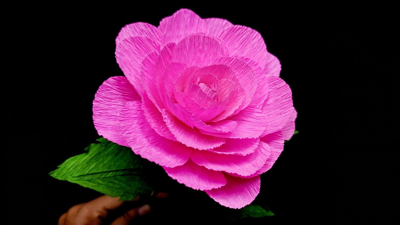 Realistic Crepe Paper Flower Camelia Making by SmirchS - YouTube