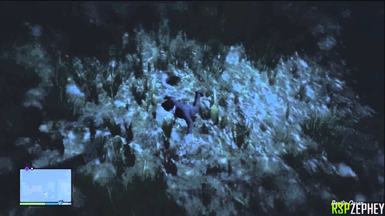 GTA 5 - Unimited Money & Health & Stamina Glitch! ( No Cheat Codes ...