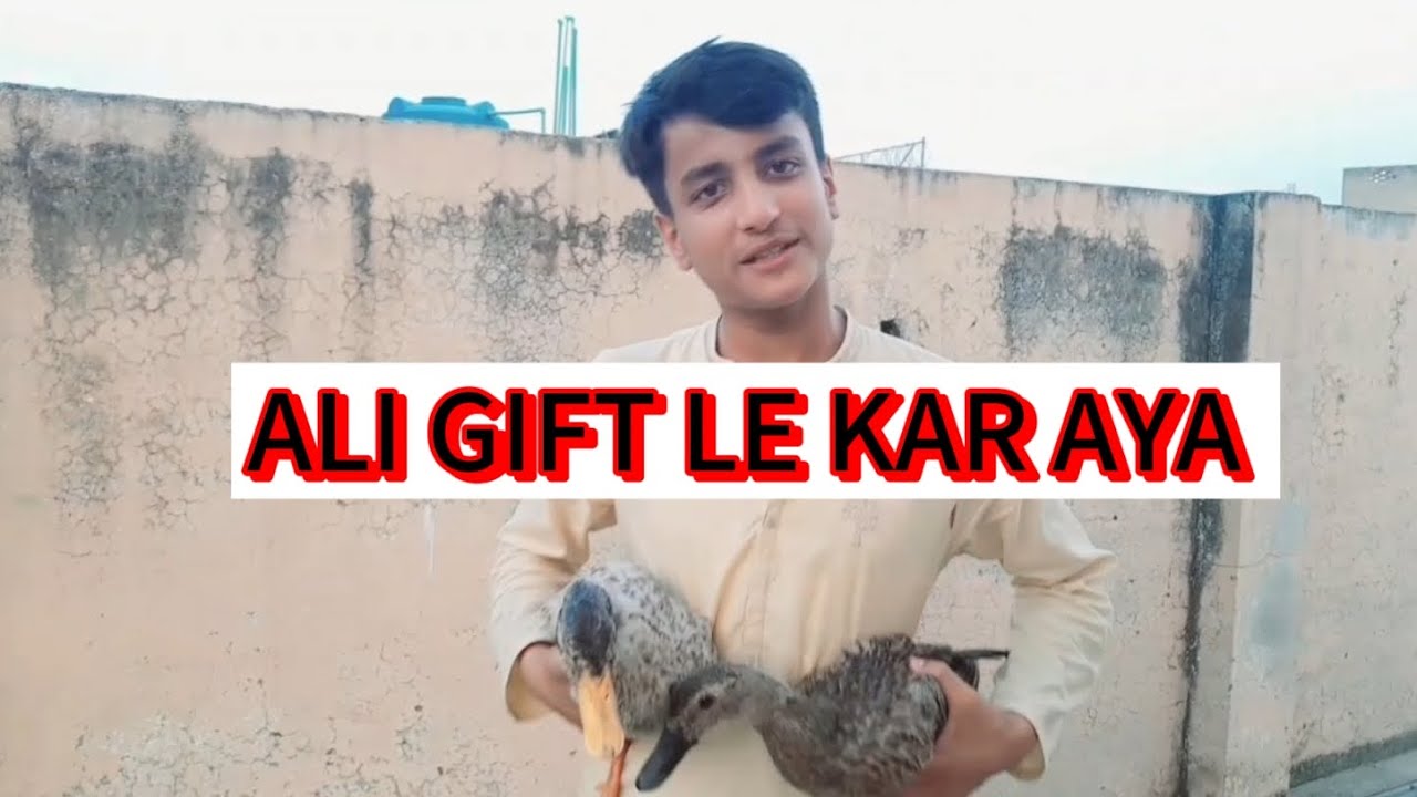 ALI GIFT LE KAR AAYA |BATAKH LE KE AYA HE 😊 - YouTube