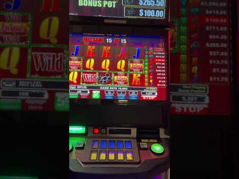 Amazing Week on the Big City 5s 2 diamond bonus pots 1 clubs bonus pot ...