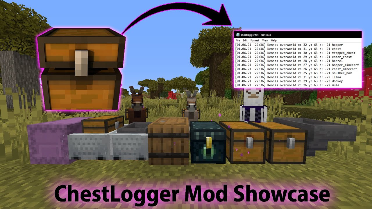 ChestLogger Minecraft Fabric Mod Showcase and Installation Guide 1.16.5 ...