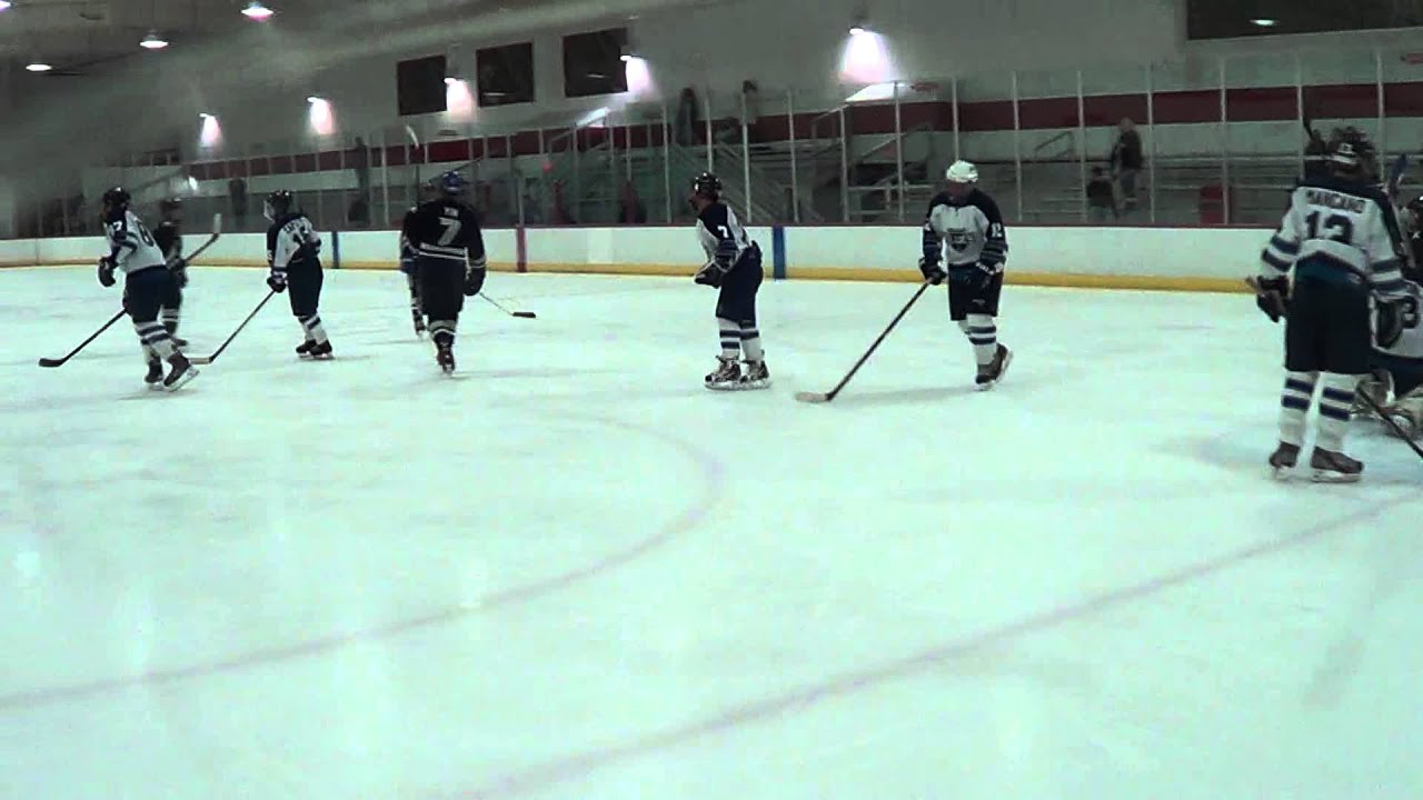 Ducks vs Blues 20131117 NF Goal - YouTube