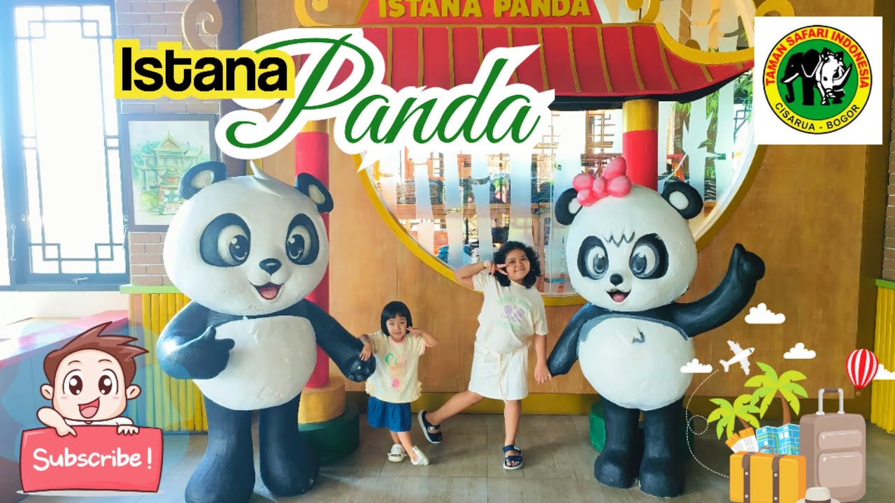 Taman Safari Indonesia lihat Istana Panda Bermain Gajah dan Atraksi ...