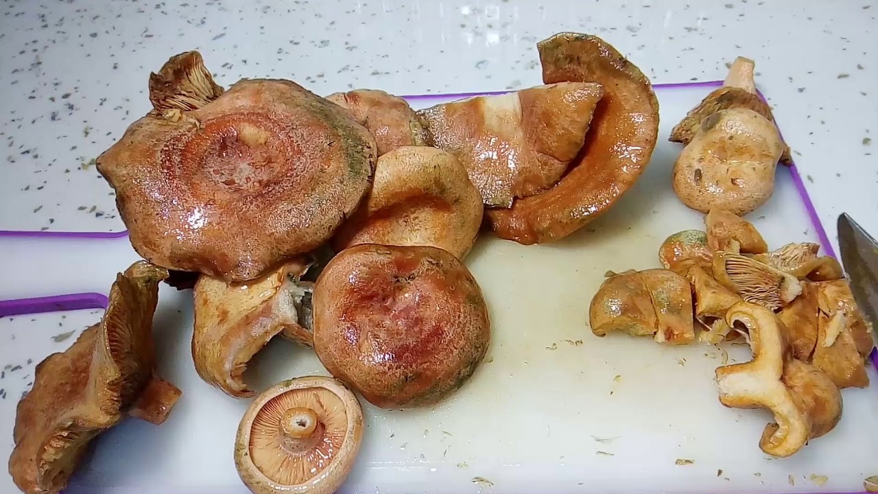 DAĞ MANTARI (KANLICA,ÇINTAR,BÖBERİK)EN LEZZETLİ NASİL PİŞİRİLİR ...