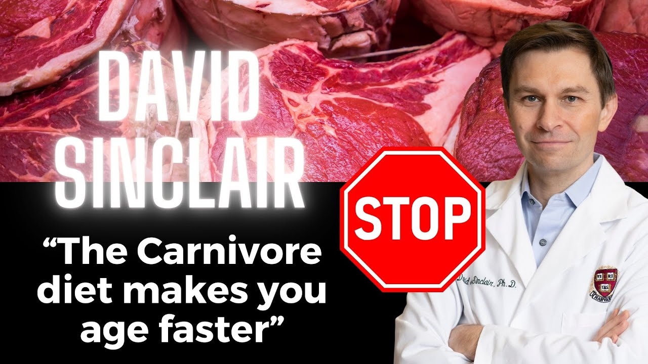 🥩Why You Should Avoid The Carnivore Diet by Dr David Sinclair PhD (2024) - YouTube